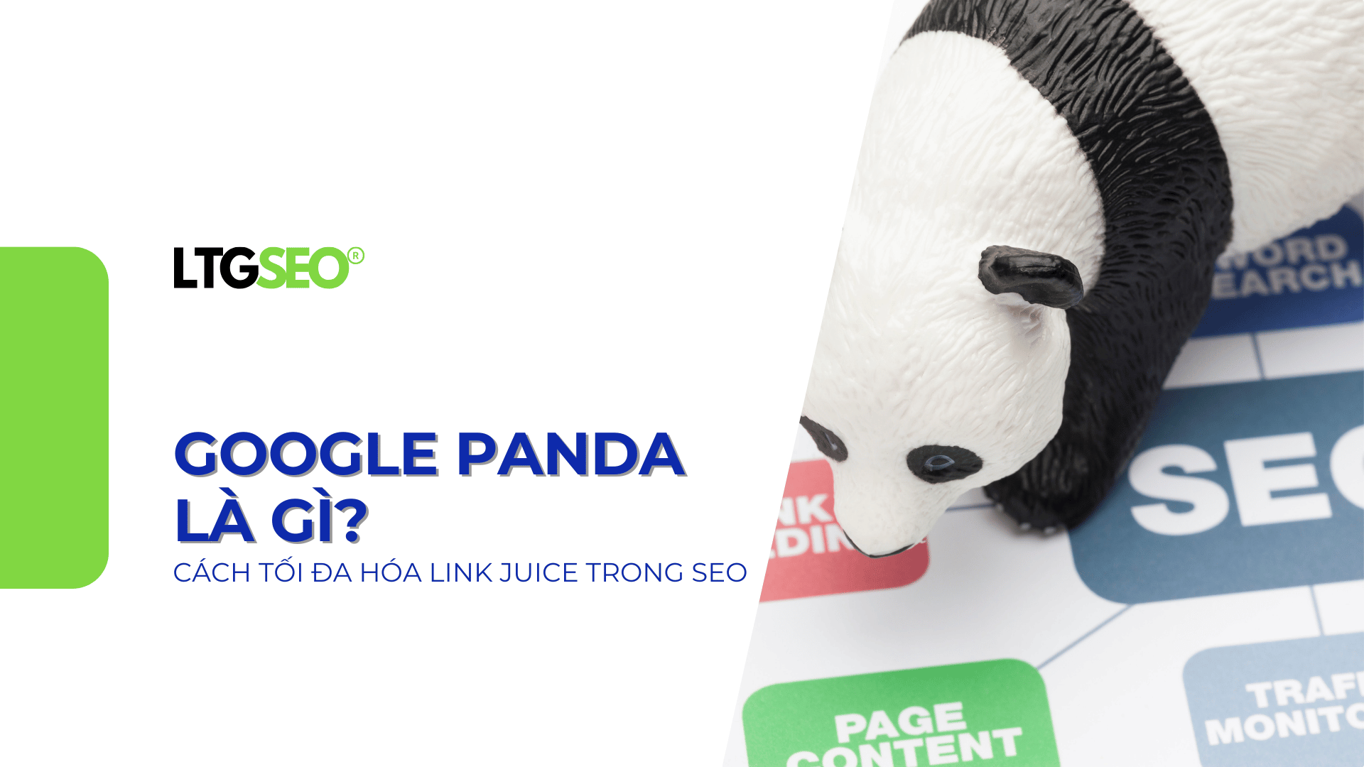 Google Panda là gì? 9+ Lưu ý để SEO tránh bị Google Panda