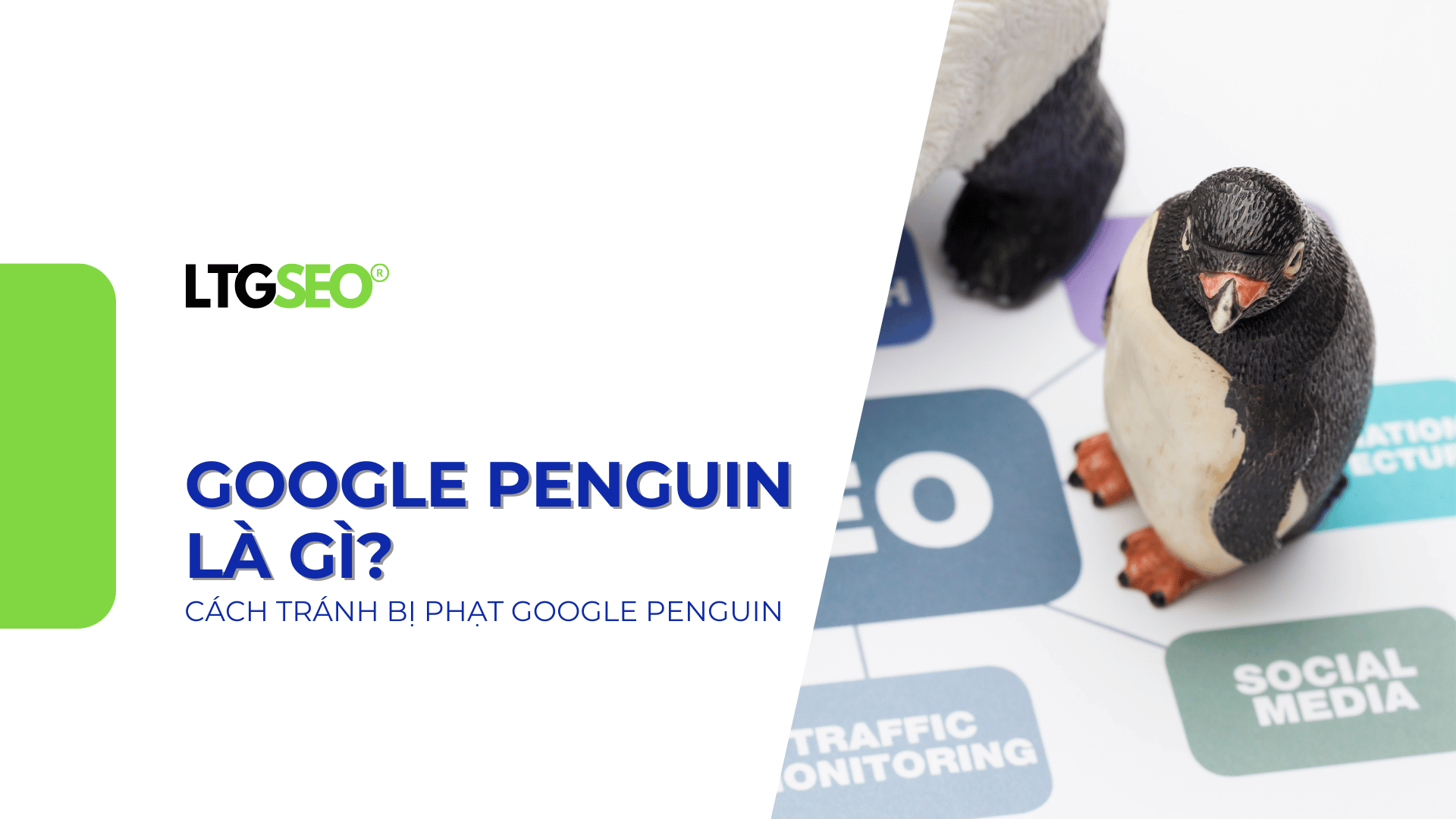 Google Penguin là gì? 6+ Cách tránh bị phạt Google Penguin - LTGSEO